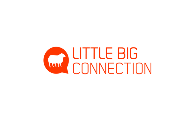 LittleBigConnection - FrenchWeb.fr
